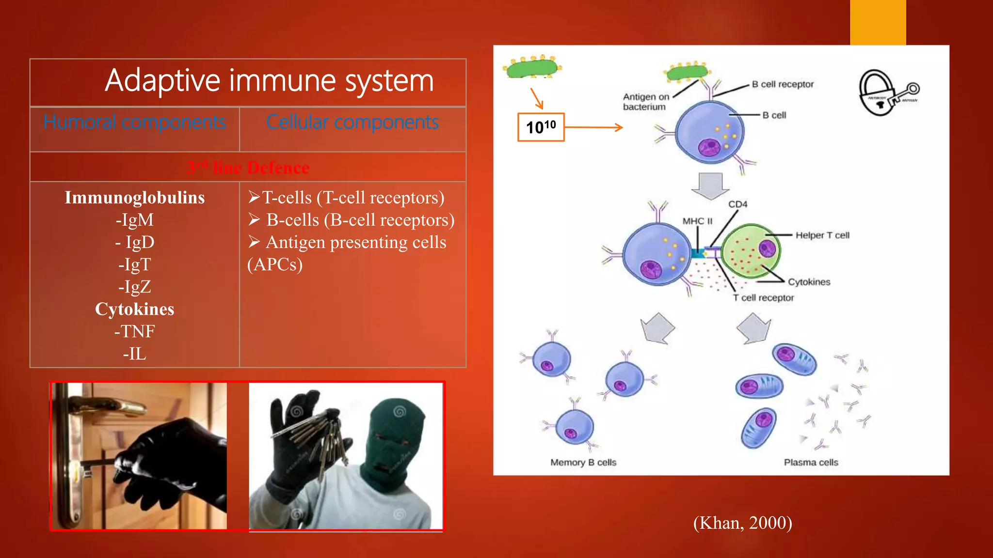 Fih immunology intro | PPTX
