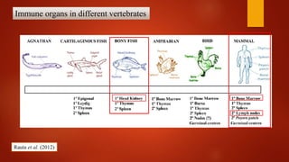 Fih immunology intro | PPTX