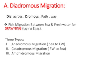 Fish Migration | PPTX