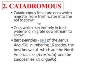 Fish Migration | PPTX