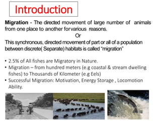 Fish Migration | PPTX