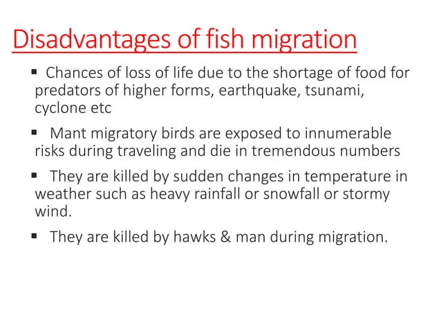Fish Migration | PPTX | Fish and Aquariums | Pets