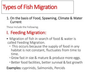 Fish Migration | PPTX