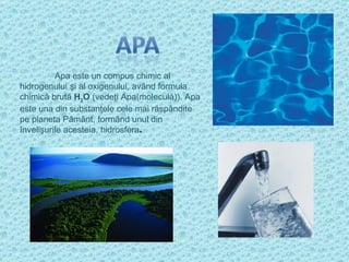 Fii Verde, Iubeşte natura! | PPT