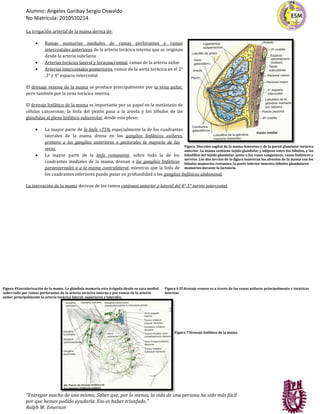 Fijación y limites de la mama. mastopatía fibroquísitica | PDF