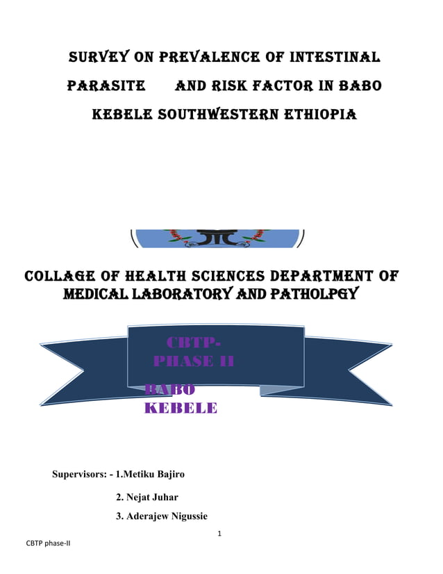 Fika and misgu cbtp p 2 final word | PDF