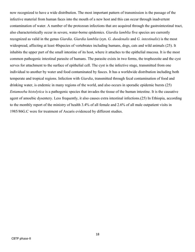 Fika and misgu cbtp p 2 final word | PDF