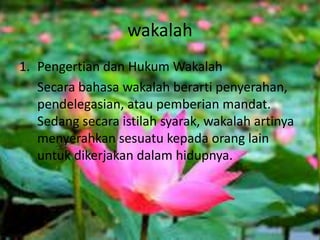 wakalah, dhaman | PPTX