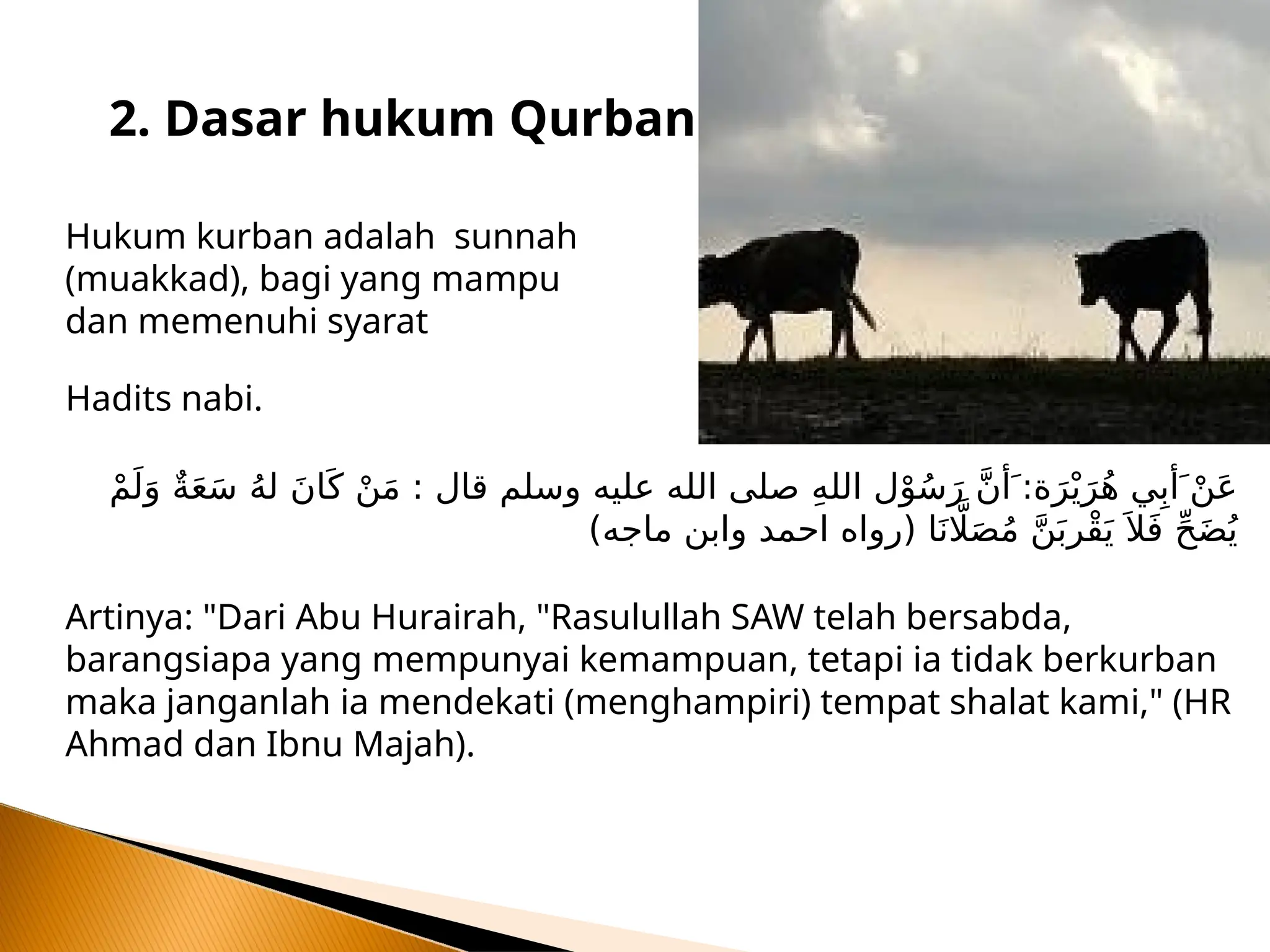 materi fiqih tentang tata cara dan hukum qurban | PPTX