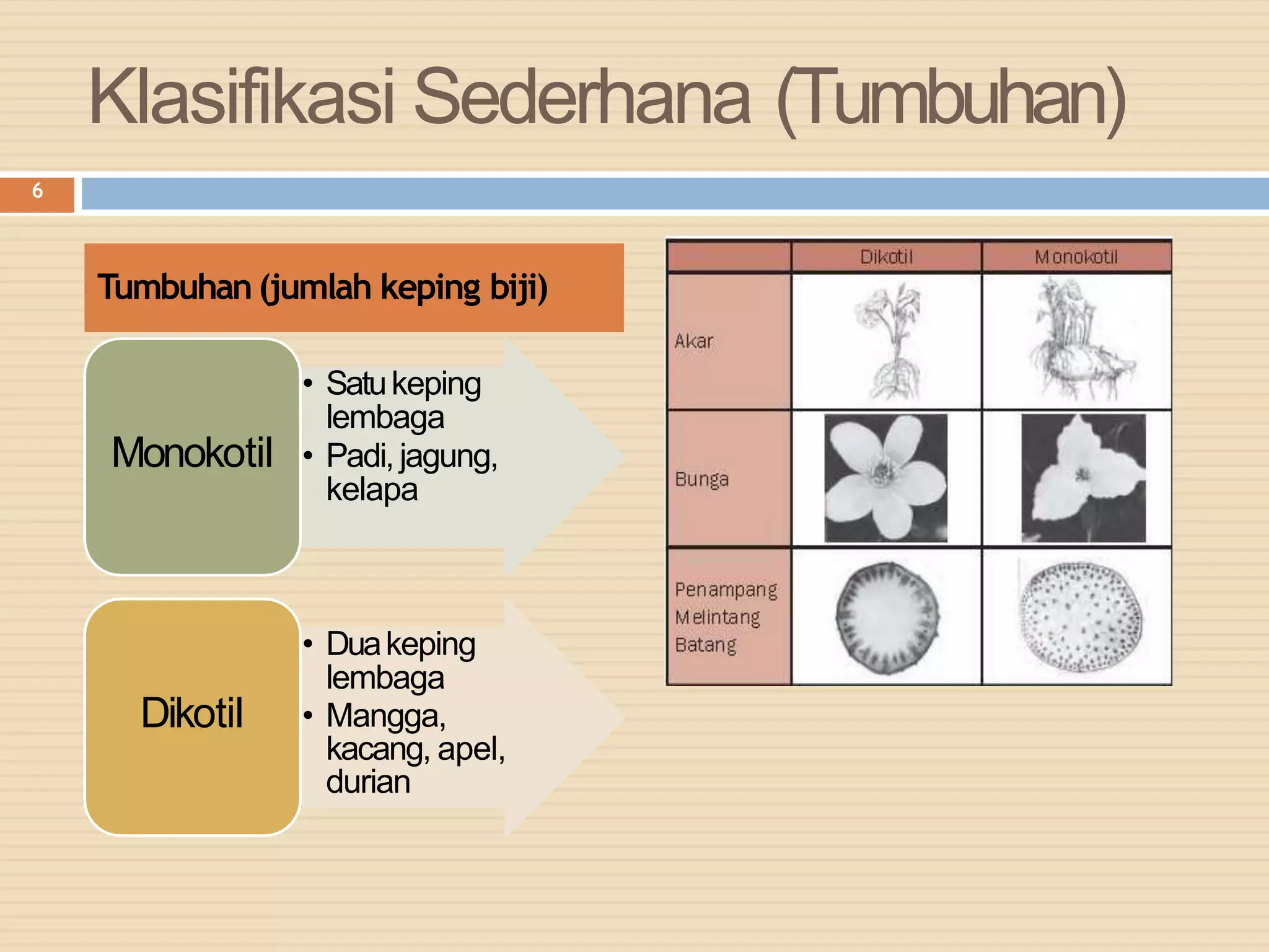 Fiks PPT Klasifikasi MH Kelas 7.pptx