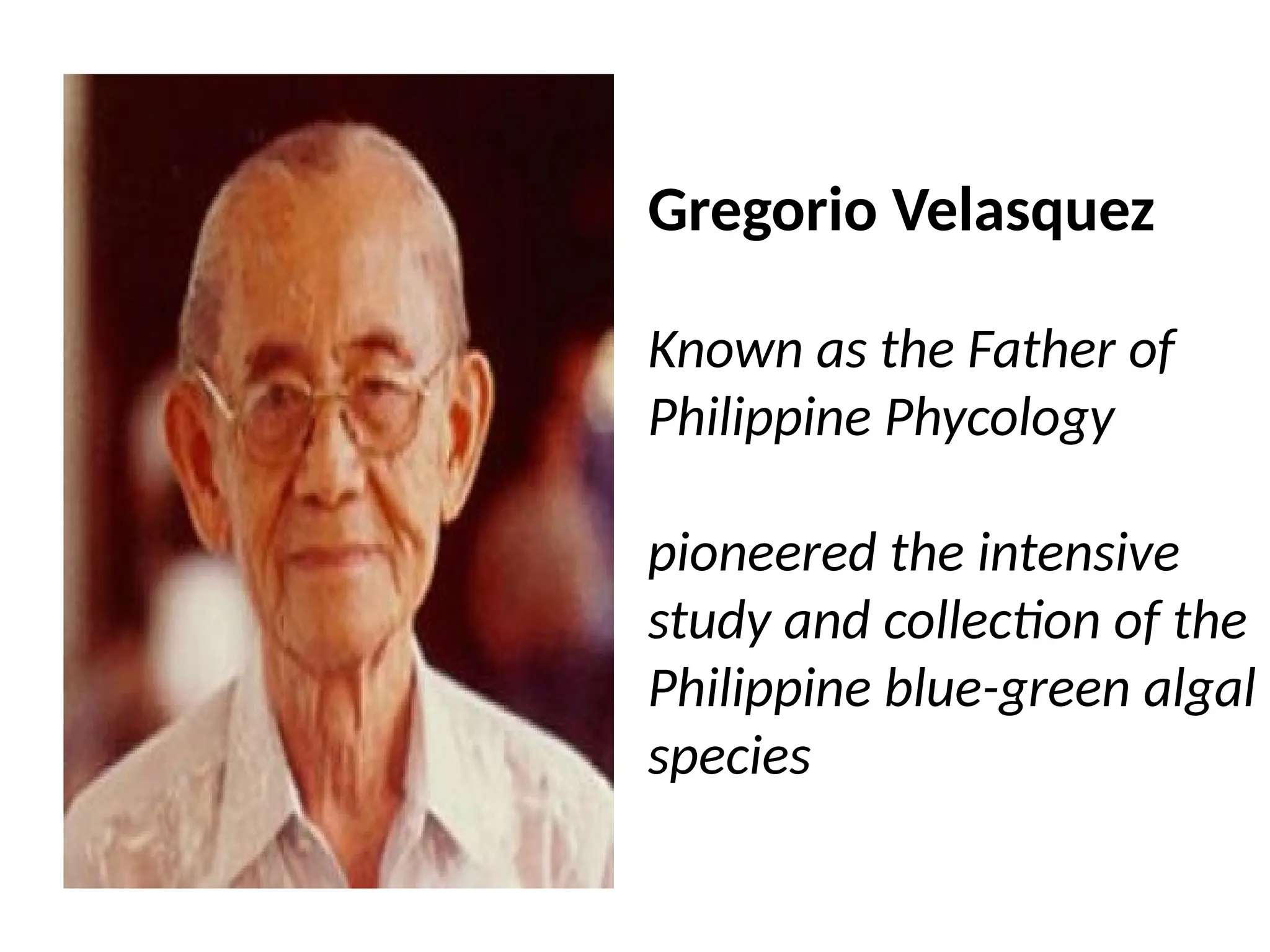 fil-scientist-pptlolwhat0000182828@.pptx