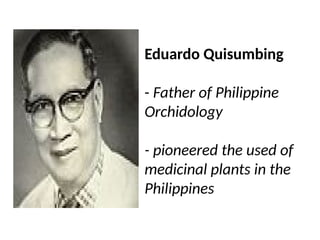 fil-scientist-pptlolwhat0000182828@.pptx