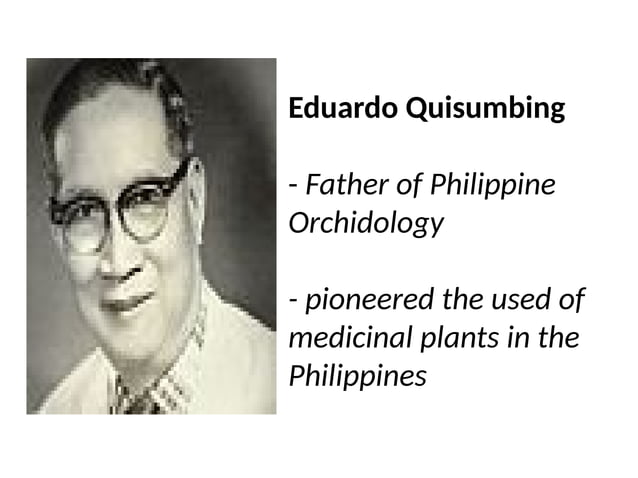 fil-scientist-pptlolwhat0000182828@.pptx