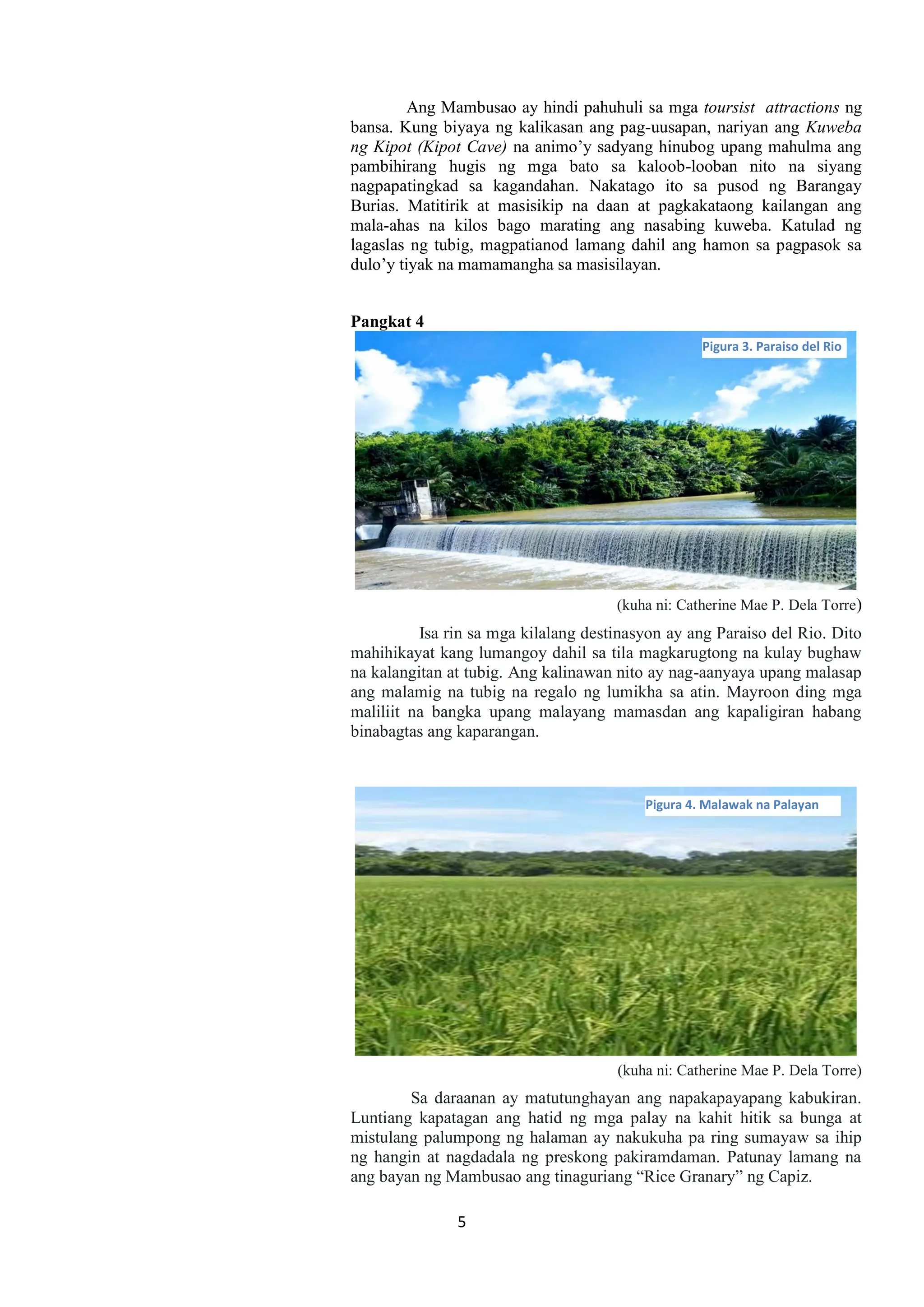 Banghay Aralin sa Filipino 11 Pagbasa at Pagsusuri ng Teksto Tungo sa ...