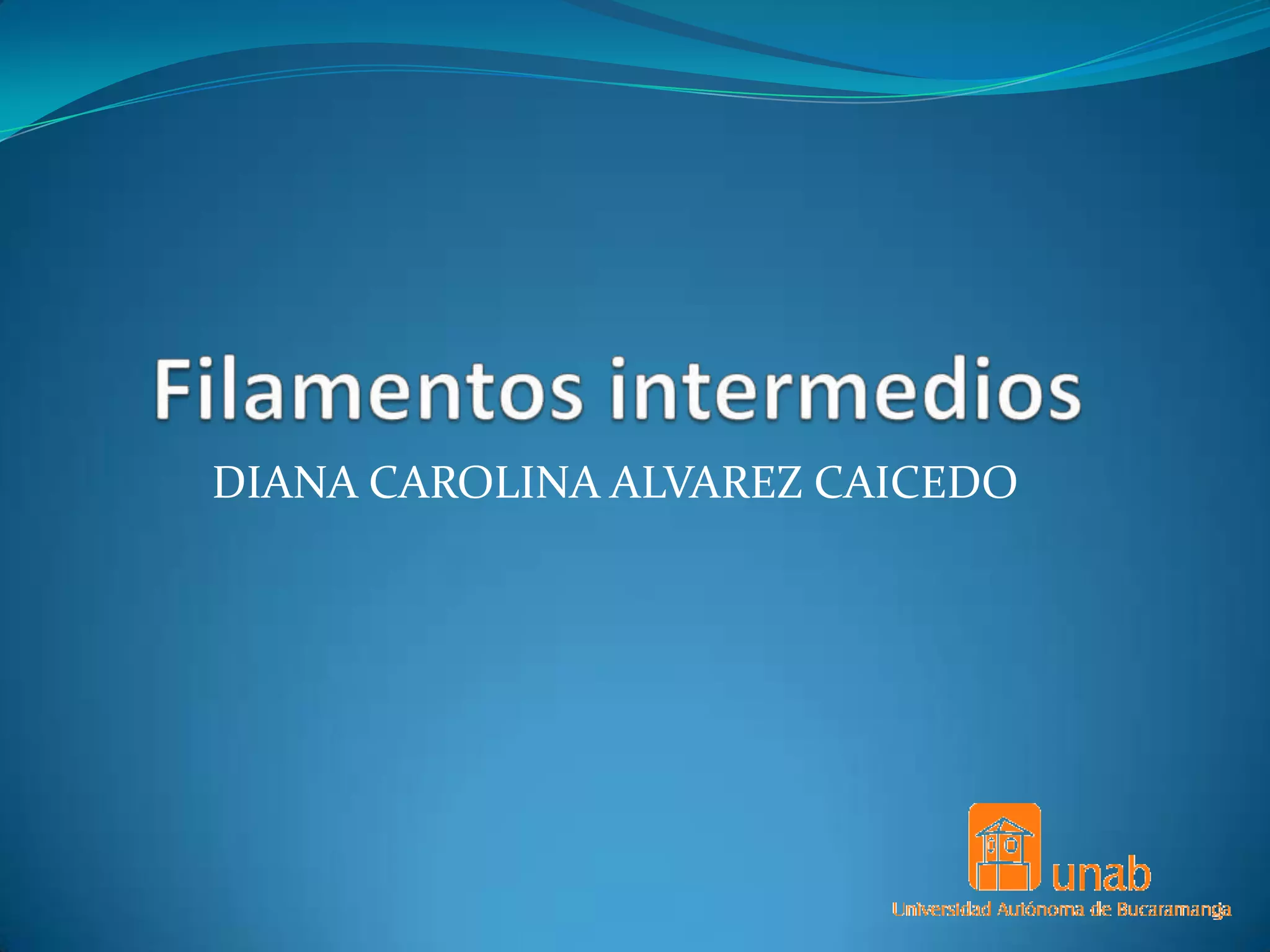 Filamentos intermedios 2 | PPTX