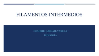 Filamentos intermedios | PPTX