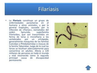 Filaríasis | PPTX