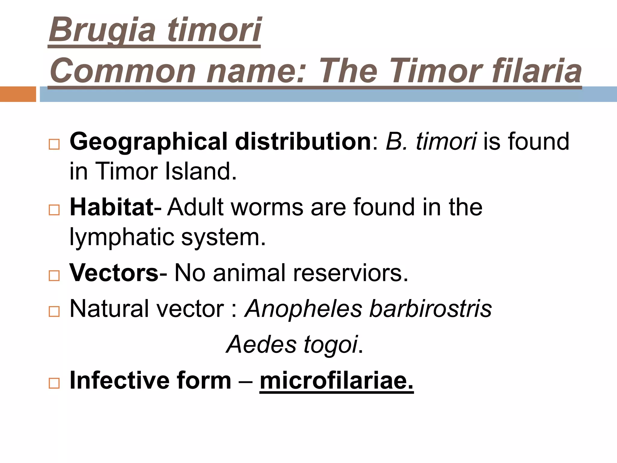Filaria microbiology | PPTX