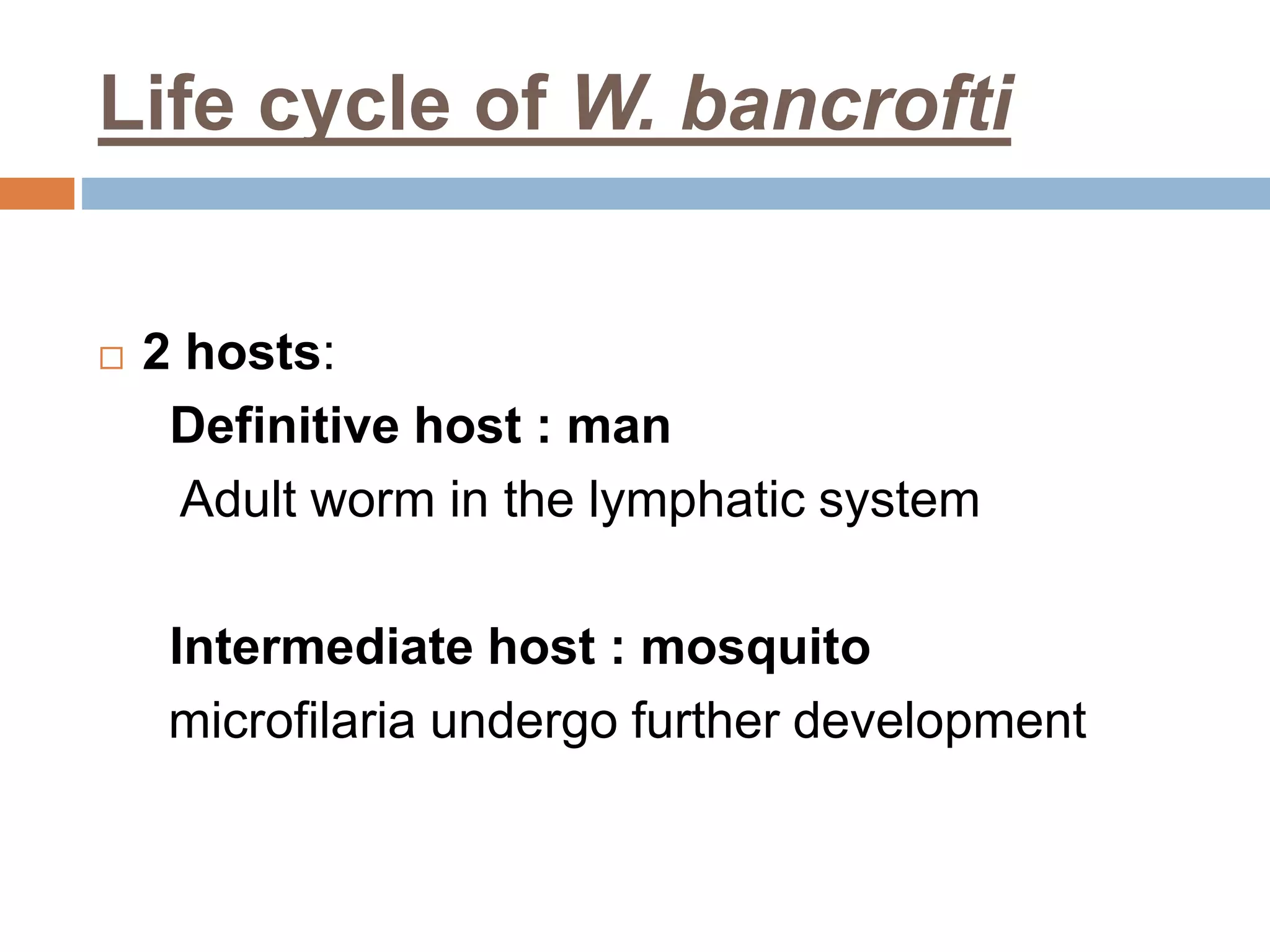 Filaria microbiology | PPTX