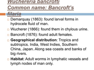 Filaria microbiology | PPTX