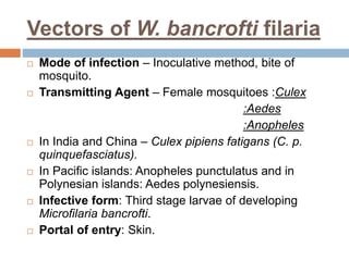 Filaria microbiology | PPTX