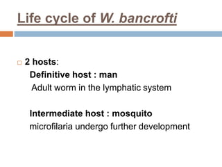 Filaria microbiology | PPTX