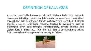 FILARIA AND KALA - AZAR PPT - Mrs. EMY.pptx