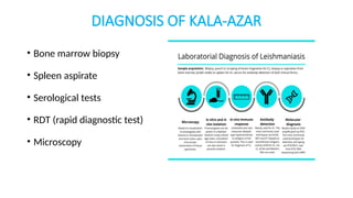 FILARIA AND KALA - AZAR PPT - Mrs. EMY.pptx