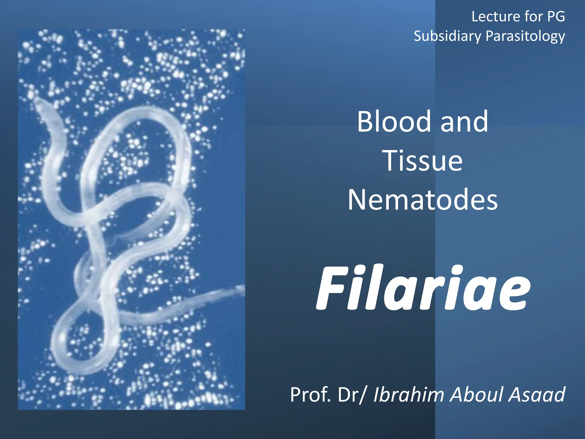 Filariae species & Lymphatic filariasis.pptx
