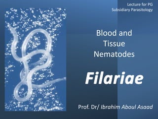 Filariae species & Lymphatic filariasis.pptx