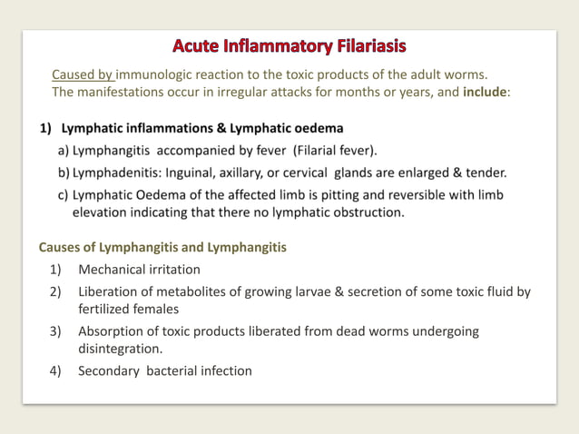 Filariae species & Lymphatic filariasis.pptx
