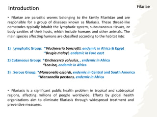 Filariae species & Lymphatic filariasis.pptx