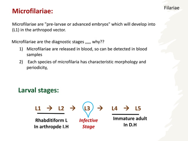 Filariae species & Lymphatic filariasis.pptx