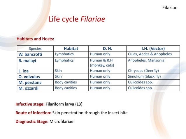 Filariae species & Lymphatic filariasis.pptx