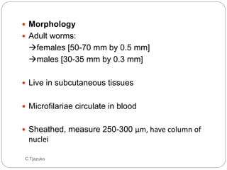 Other Filarial Worms | PPT