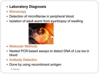 Other Filarial Worms | PPTX