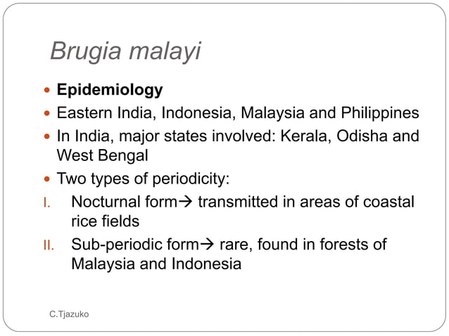 Other Filarial Worms | PPTX | Infectious Diseases | Diseases and Conditions