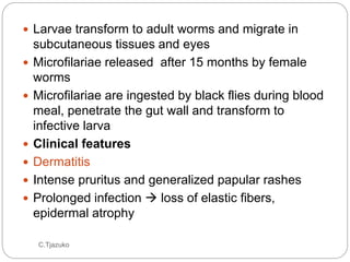 Other Filarial Worms | PPT