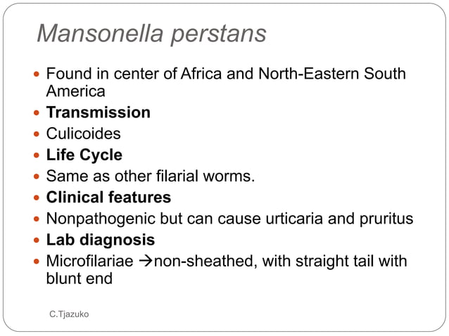 Other Filarial Worms | PPTX | Infectious Diseases | Diseases and Conditions