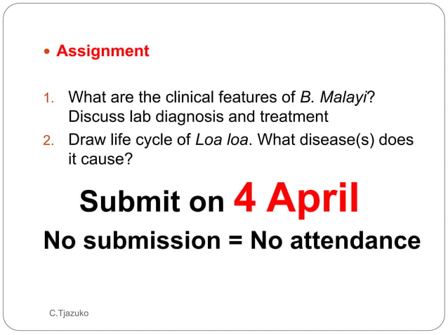 Other Filarial Worms | PPTX | Infectious Diseases | Diseases and Conditions