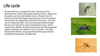Filaria part 1 | PPTX