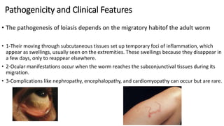 Filaria part 2 | PPTX