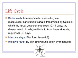 Filariasis | PPT