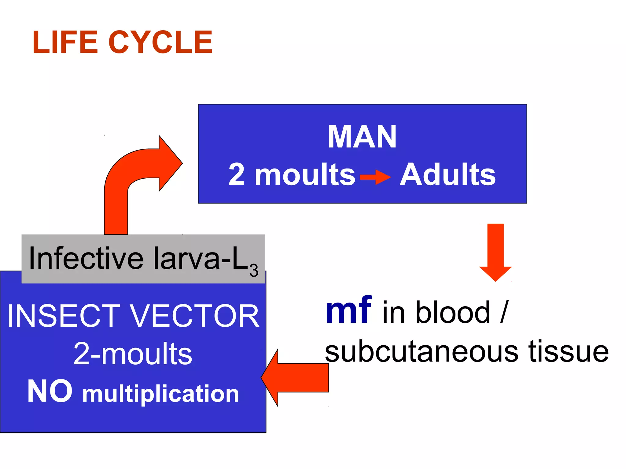 Filariasis | PPT