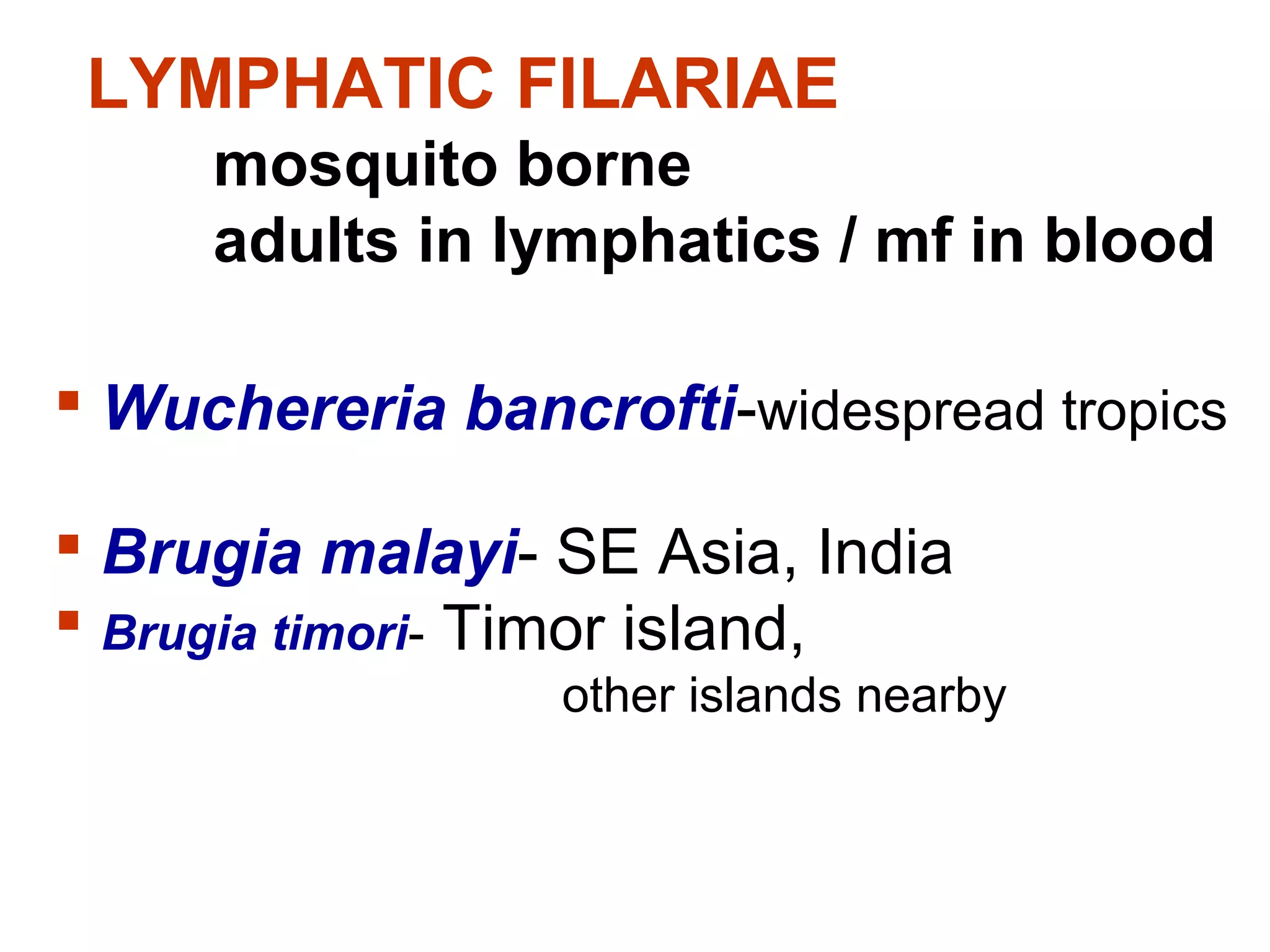 Filariasis | PPT