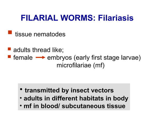 Filariasis | PPT | Infectious Diseases | Diseases and Conditions