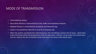 Filariasis and Fascioliasis | PPT