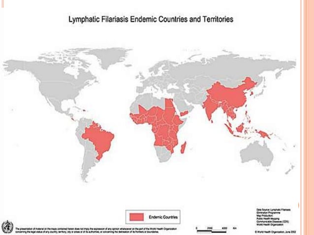 Filariasis | PPTX | Infectious Diseases | Diseases and Conditions