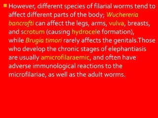 Filariasis | PPT | Infectious Diseases | Diseases and Conditions