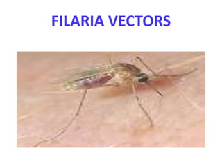 FILARIASIS CONTROL PROGRAMME-INDIA | PPTX